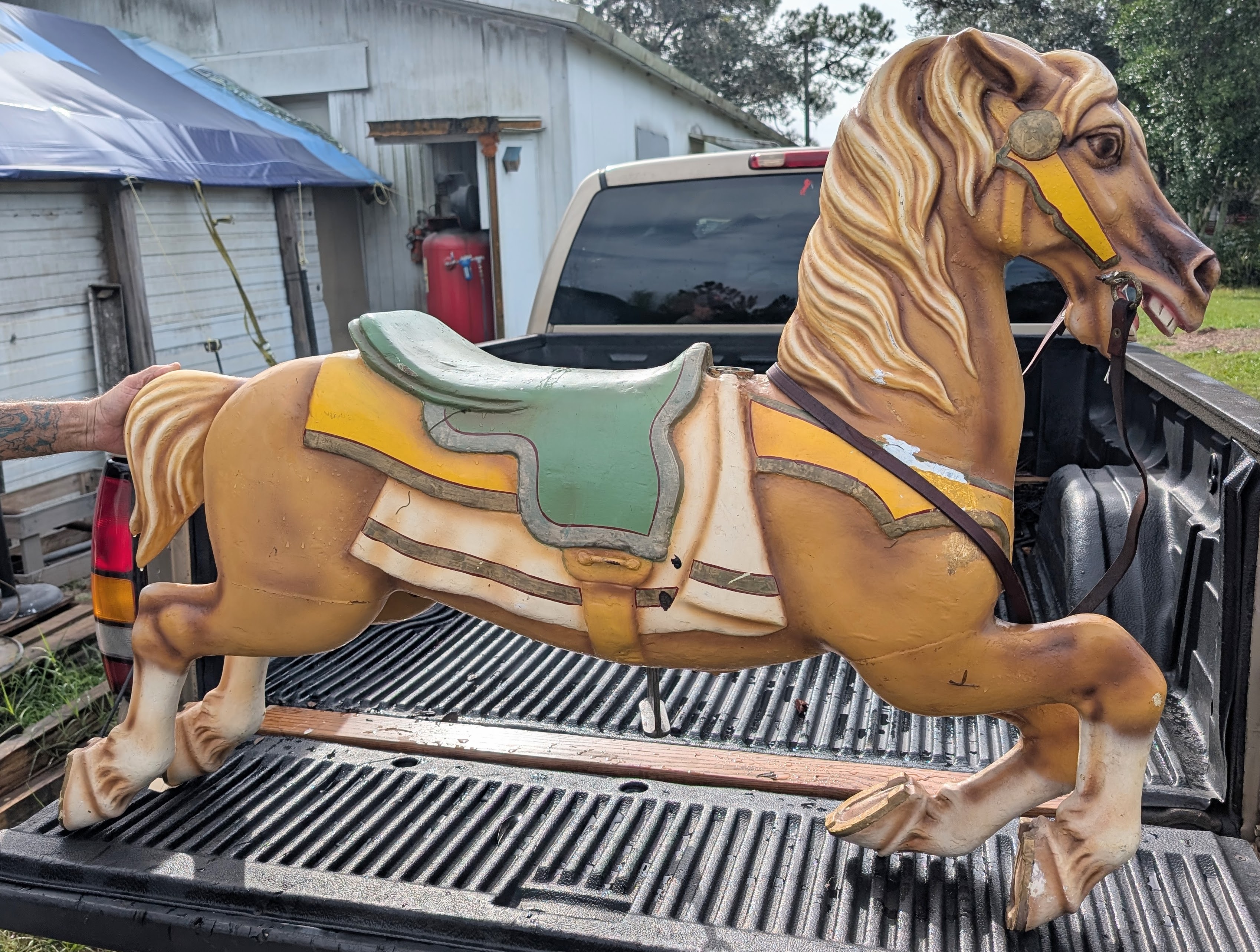 Allan Herschell Carousel Horse Jumper, half and half , inner row ...